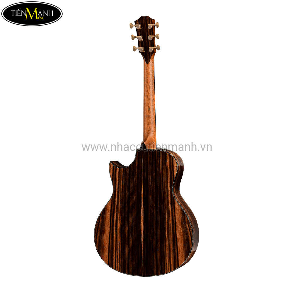Đàn Guitar Acoustic Taylor PS16ce - Nhạc Cụ Tiến Mạnh