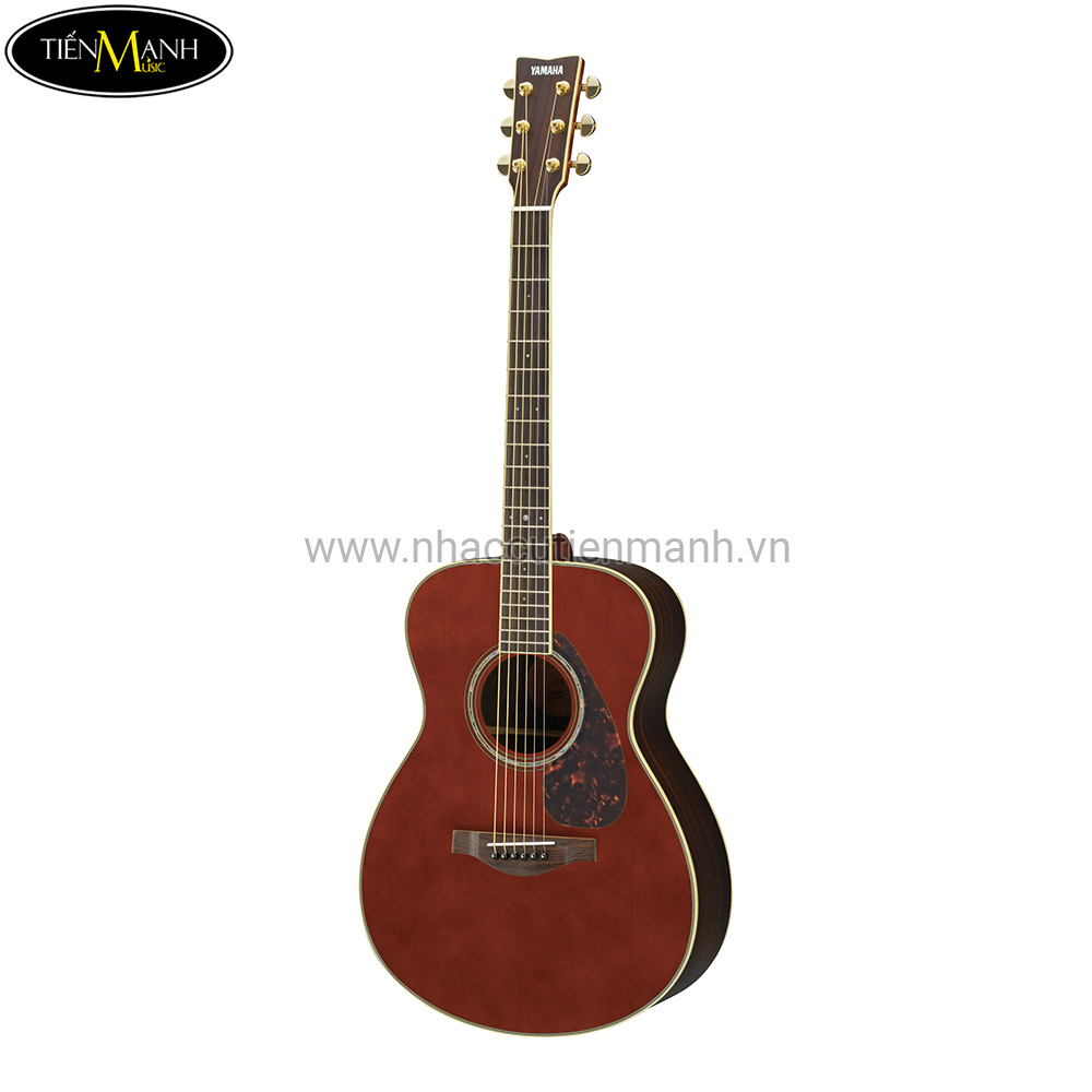 Đàn Guitar Acoustic Yamaha LS6 - Nhạc Cụ Tiến Mạnh
