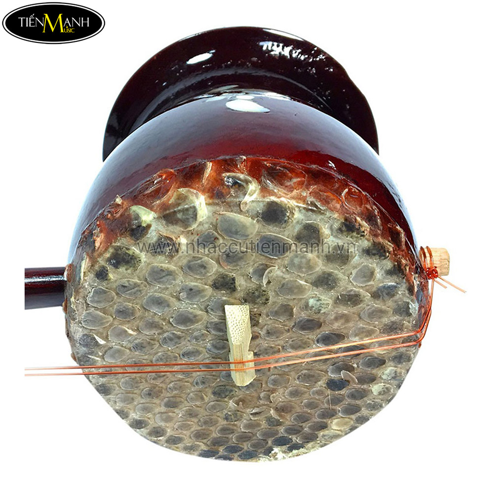 Đàn Hồ Việt Nam TMH30 - Nhạc Cụ Tiến Mạnh