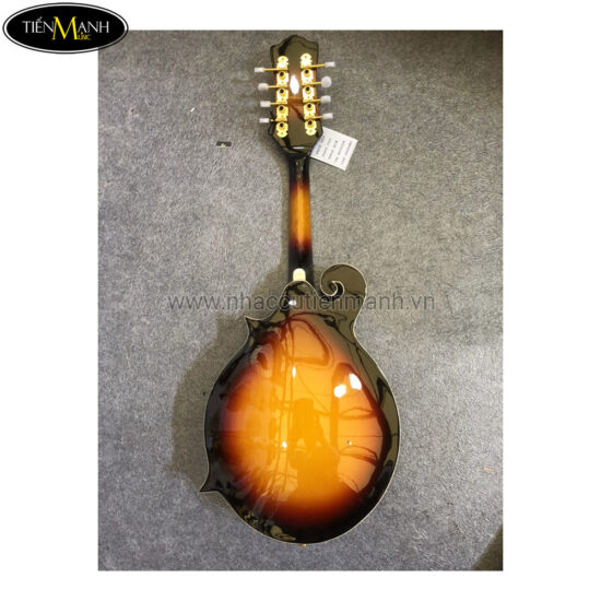 Đàn mandolin MAW01 - Nhạc Cụ Tiến Mạnh