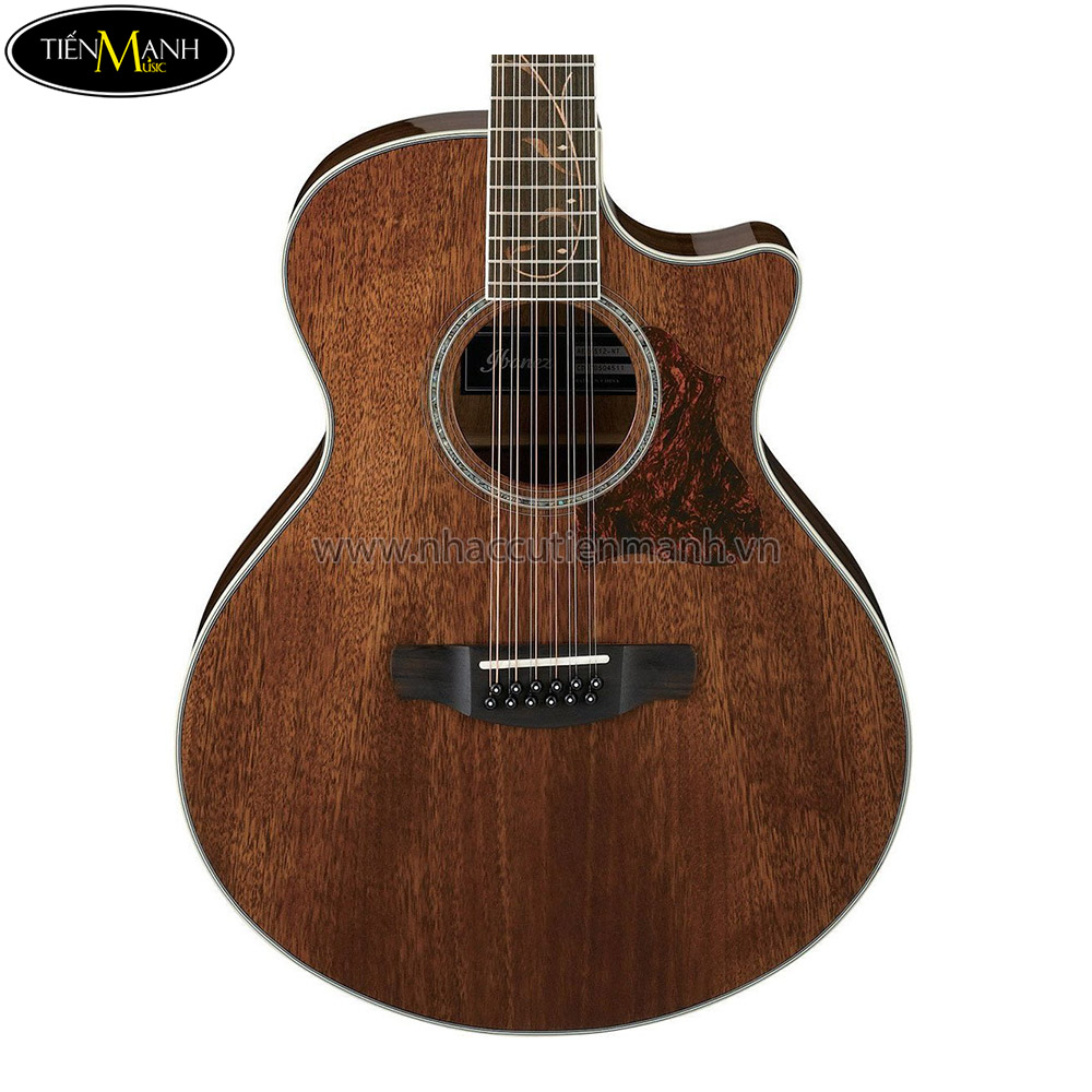 Ibanez AE2412-NT 12-String Acoustic Guitar, Natural High Gloss - Nhạc ...
