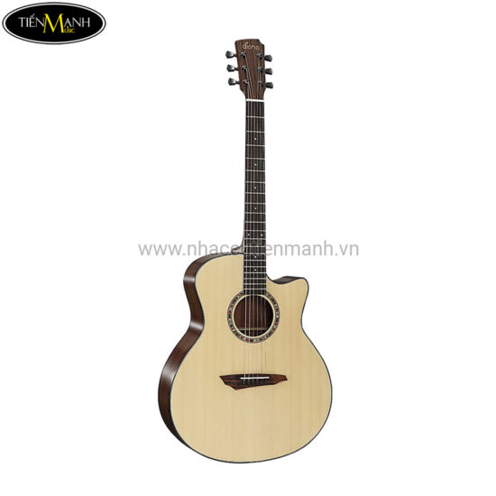 Đàn Guitar Acoustic Diana 729 DN-AC - Nhạc Cụ Tiến Mạnh