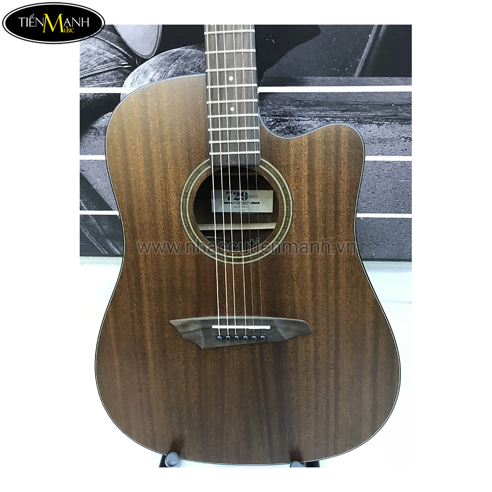 Đàn Guitar Acoustic Diana 729 DN-AT - Nhạc Cụ Tiến Mạnh