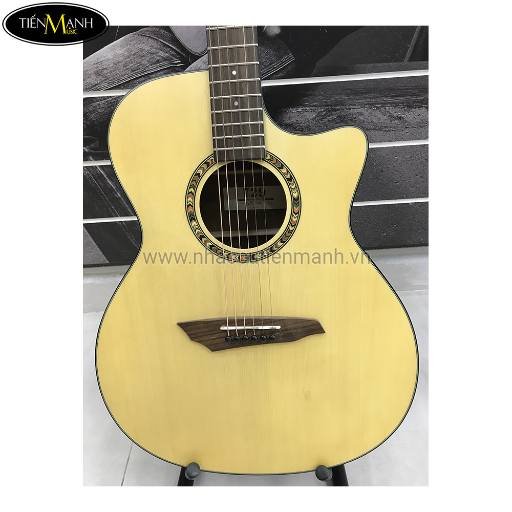 Đàn Guitar Acoustic Diana 729 DN-DC - Nhạc Cụ Tiến Mạnh