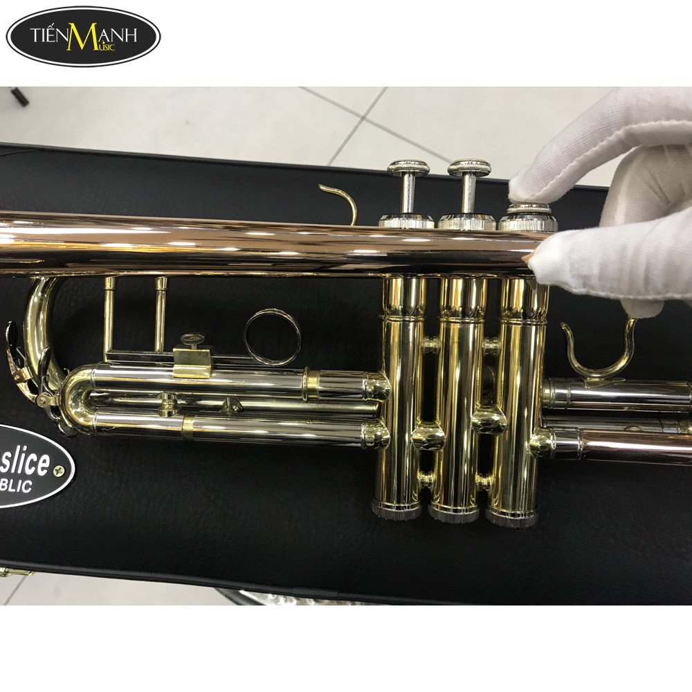 Kèn Trumpet Amati TR-300 - Nhạc Cụ Tiến Mạnh