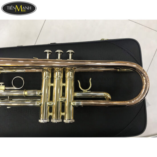 Kèn Trumpet Amati TR-300 - Nhạc Cụ Tiến Mạnh
