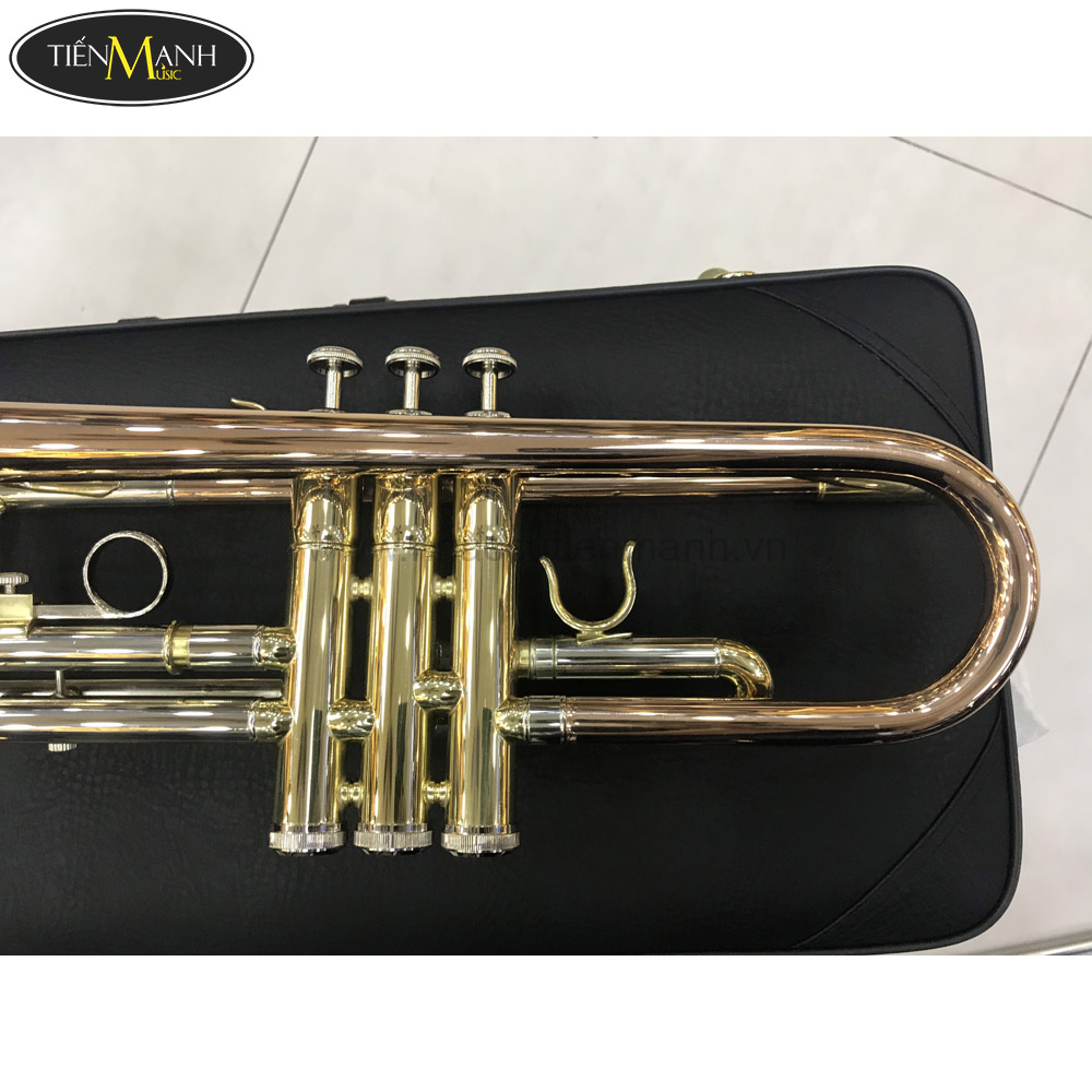 Kèn Trumpet Amati TR-300 - Nhạc Cụ Tiến Mạnh