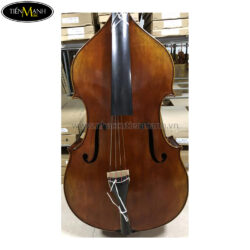 Đàn Double Bass - Nhạc Cụ Tiến Mạnh