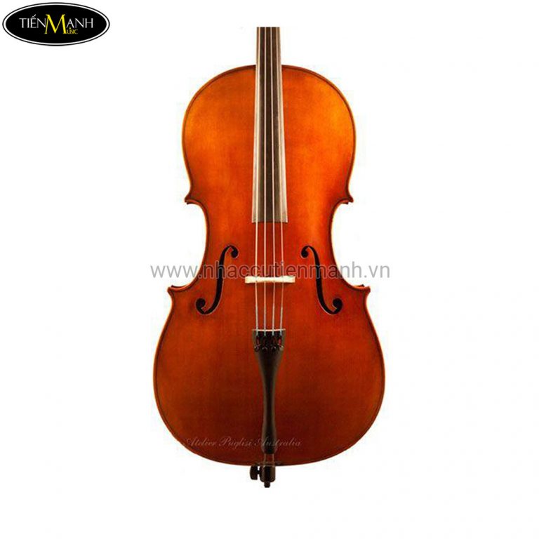 Đàn Cello - Nhạc Cụ Tiến Mạnh