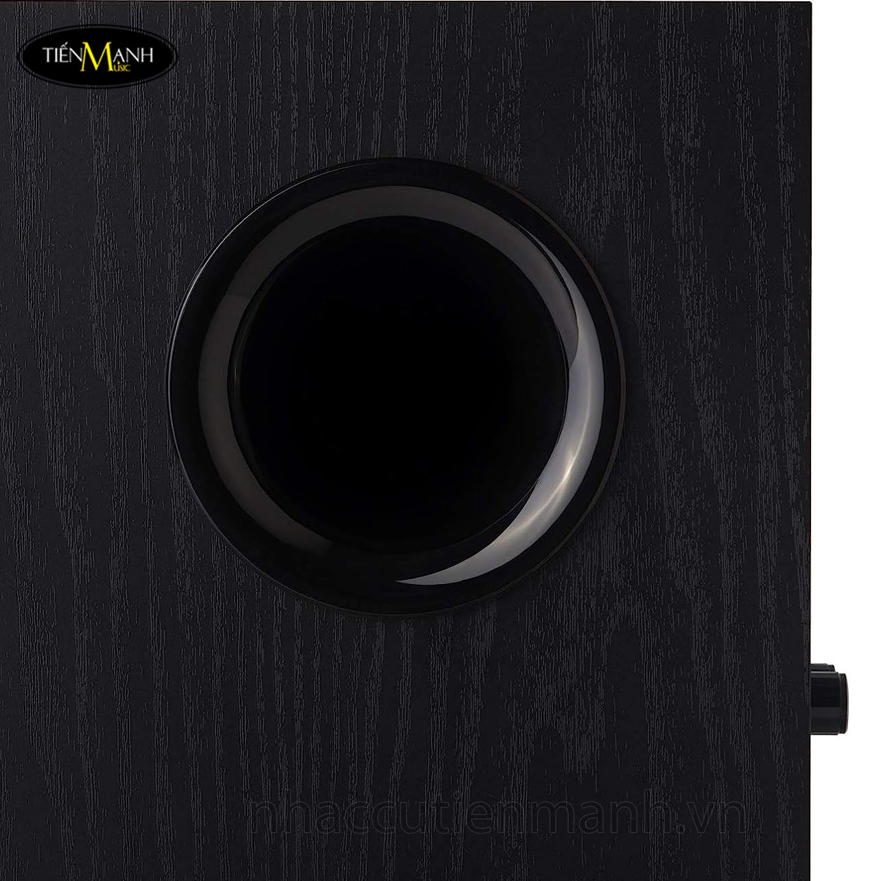 Loa Sub Edifier T5 - Subwoofer Điện ( Cái ) - Nhạc Cụ Tiến Mạnh