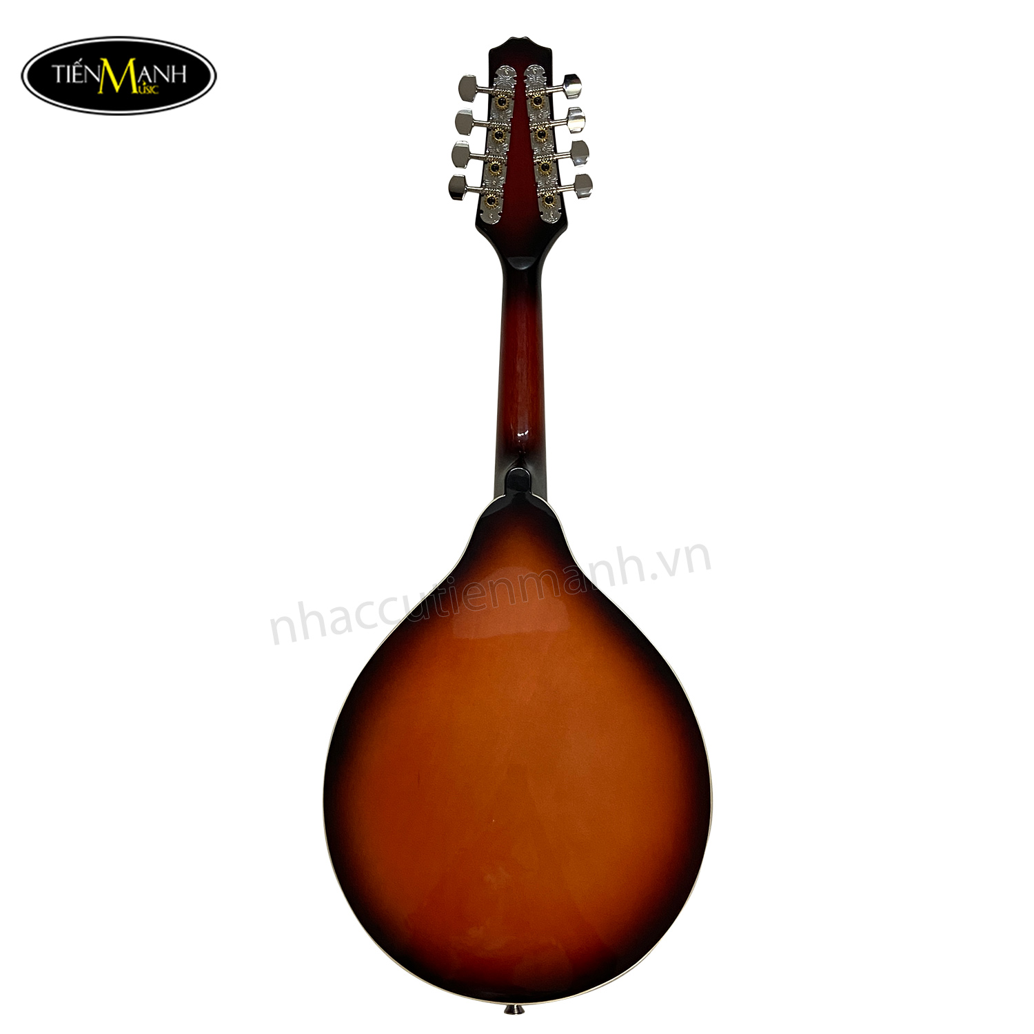 Đàn Mandolin Amati SMD-LE Có EQ - Nhạc Cụ Tiến Mạnh