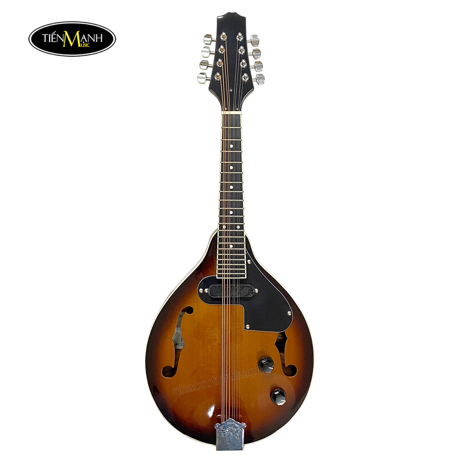 Đàn Mandolin Amati SMD-SE ( Có EQ ) - Nhạc Cụ Tiến Mạnh