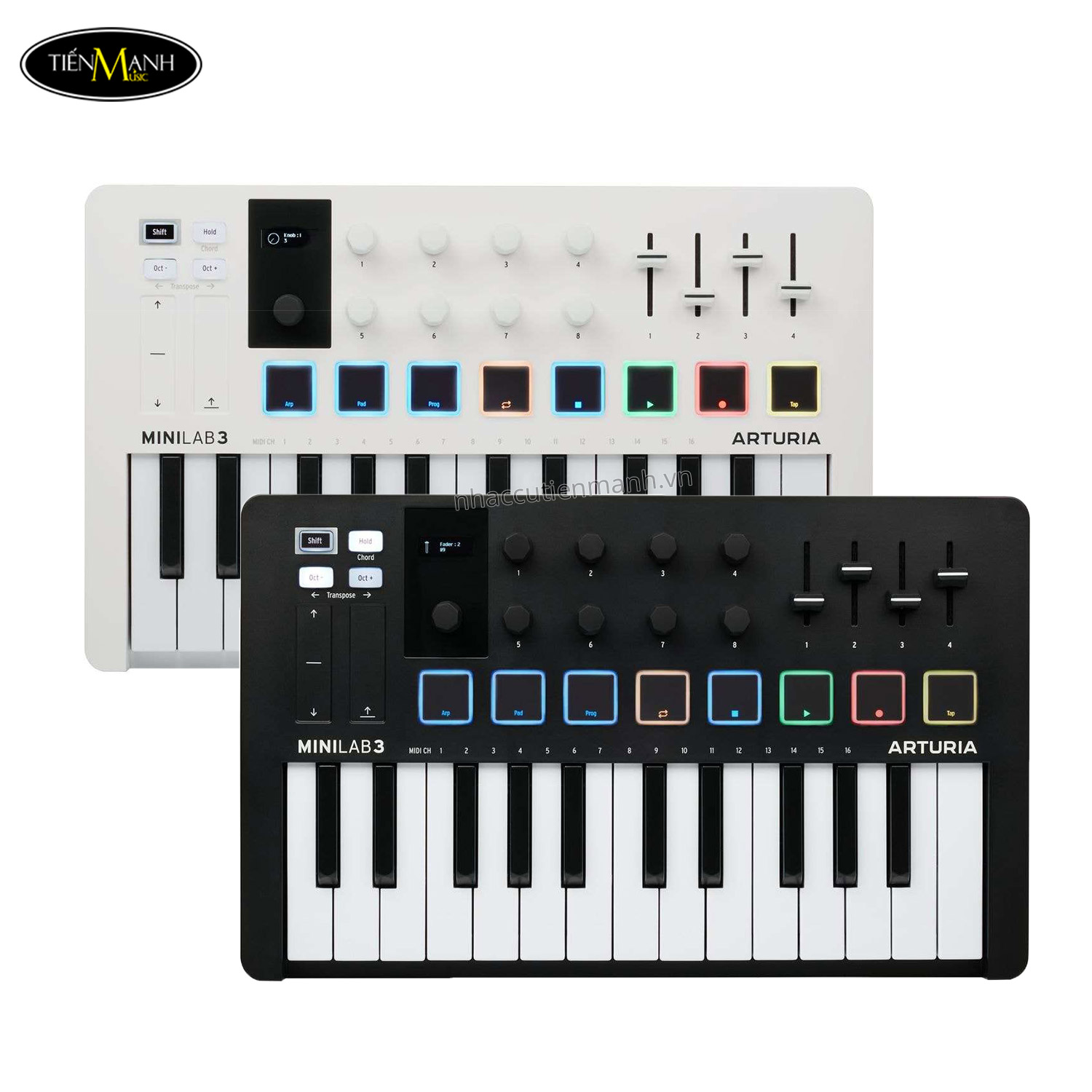 Arturia MiniLab 3 MK3 Keyboard Midi Controller - Nhạc Cụ Tiến Mạnh