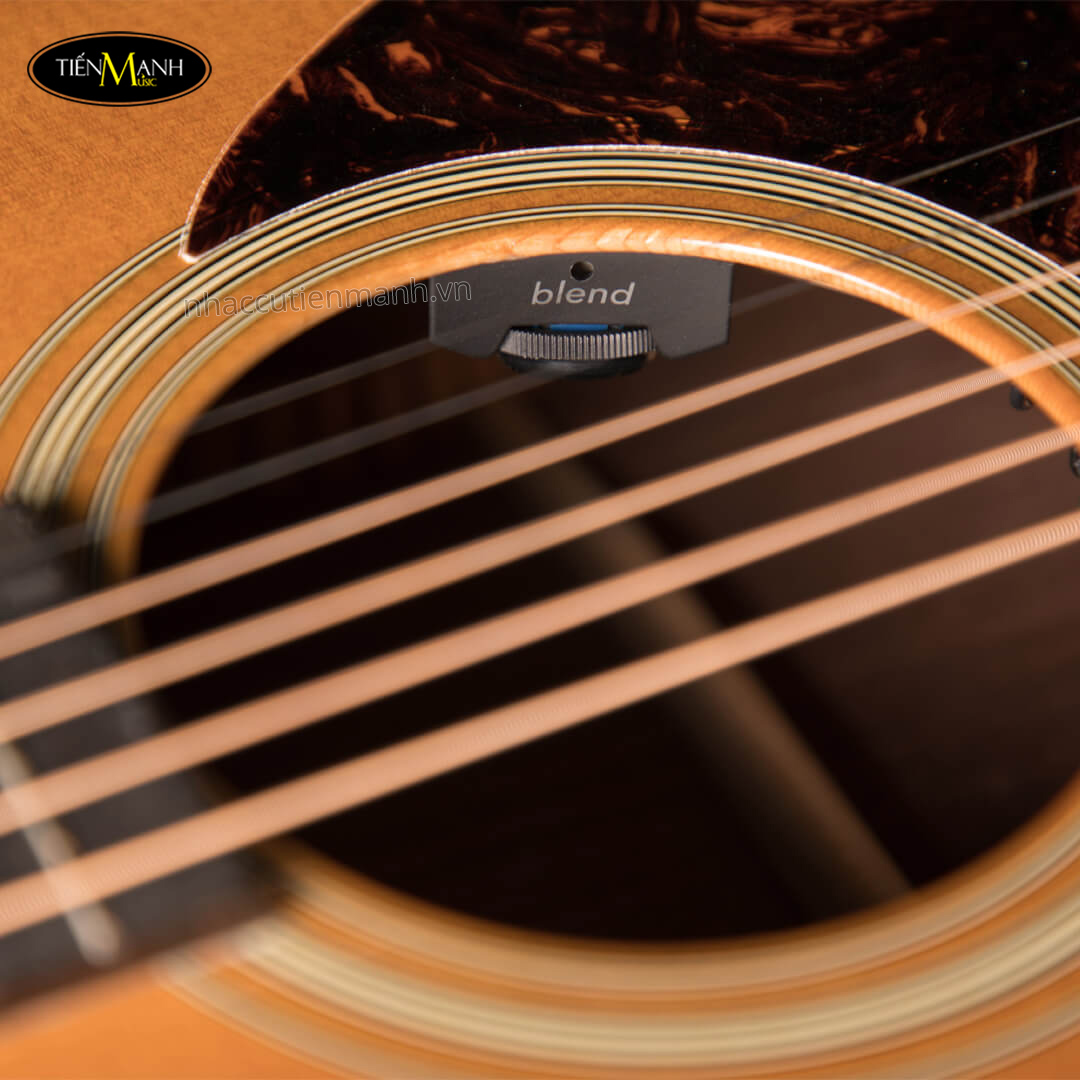 Fishman Matrix Infinity Mic Blend Acoustic Guitar Pickup - Nhạc Cụ Tiến ...