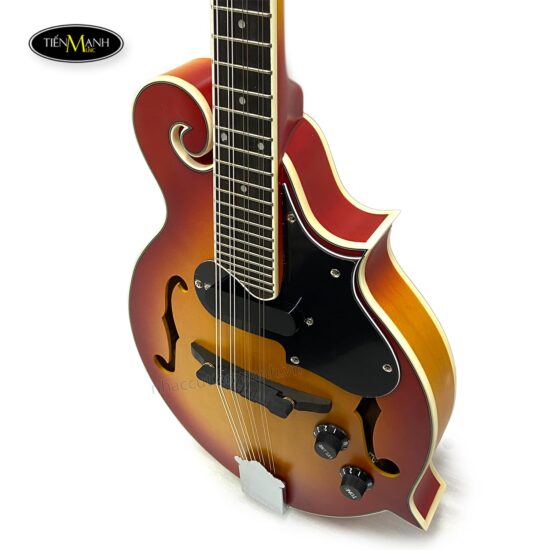 Đàn Mandolin MAW01 | MAW01-EQ - Nhạc Cụ Tiến Mạnh