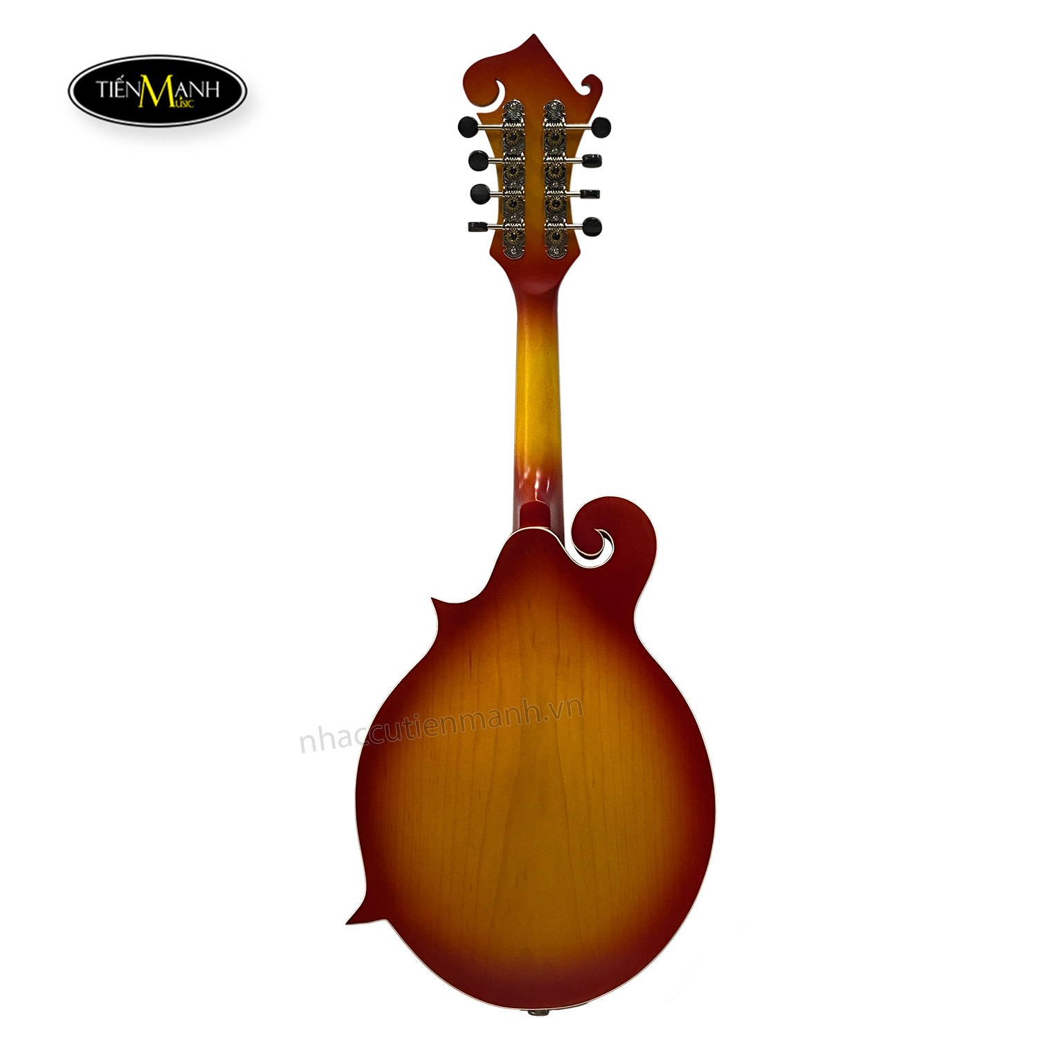 Đàn Mandolin MAW01 | MAW01-EQ - Nhạc Cụ Tiến Mạnh