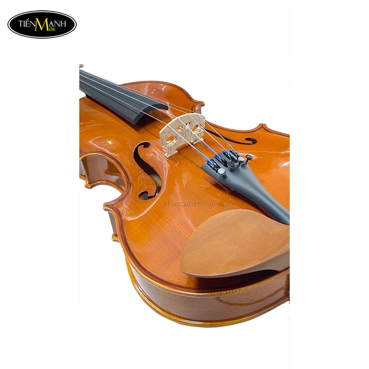 Đàn Viola Scott & Guan A601 15" - Nhạc Cụ Tiến Mạnh